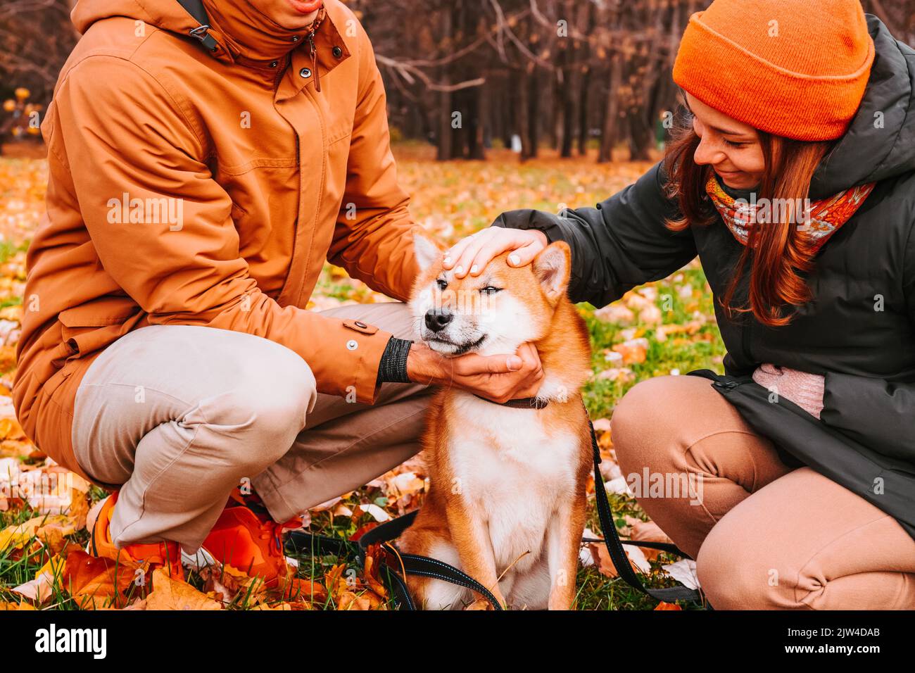 Family lovingly petting dog on head. Sincere friendship with pet ...