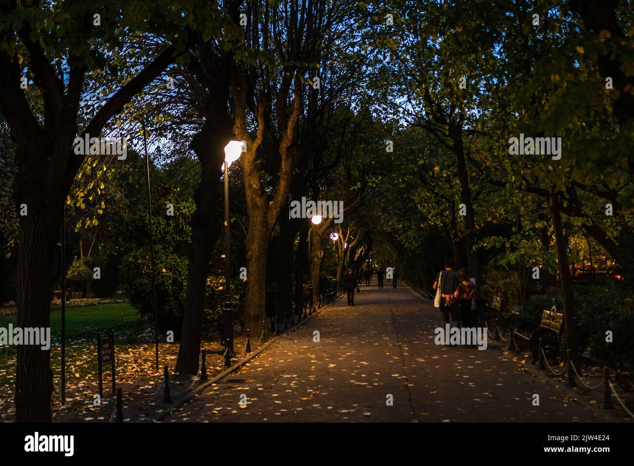 A night view of a dark walkway in Cismigiu Gardens Park in downtown ...