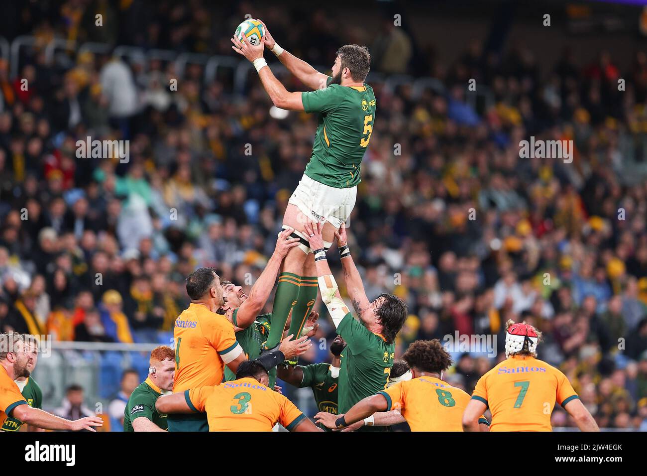 3rd September 2022; Allianz Stadium, Sydney, New South Wales, Australia ...