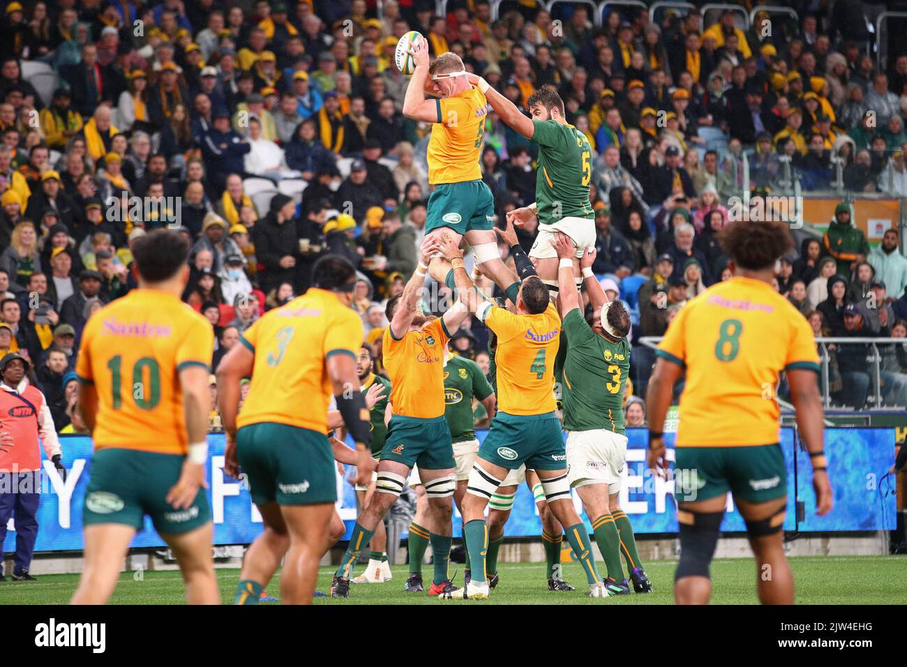 3rd September 2022; Allianz Stadium, Sydney, New South Wales, Australia ...