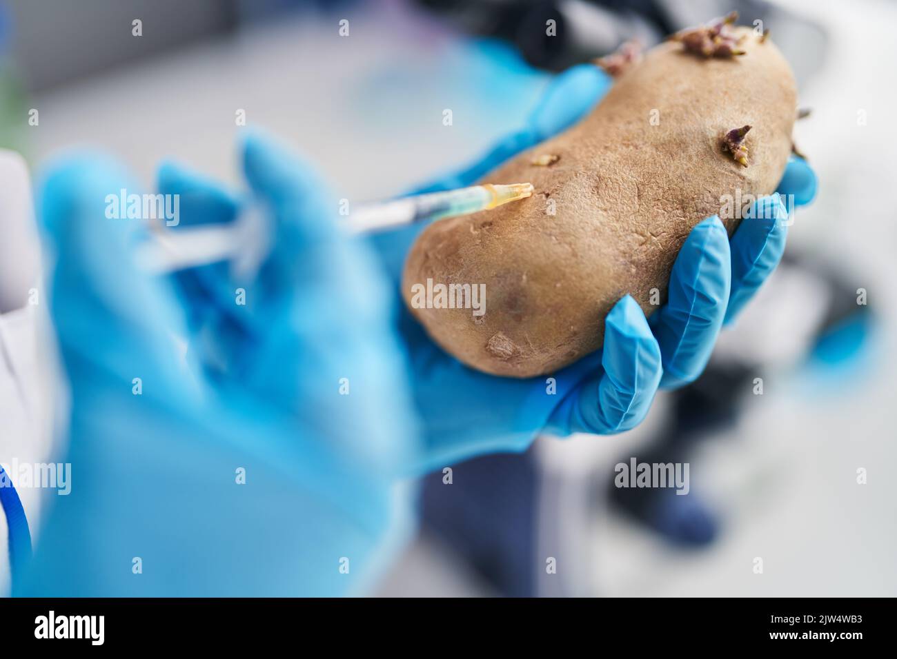 African american woman wearing scientist injecting on potato laboratory ...