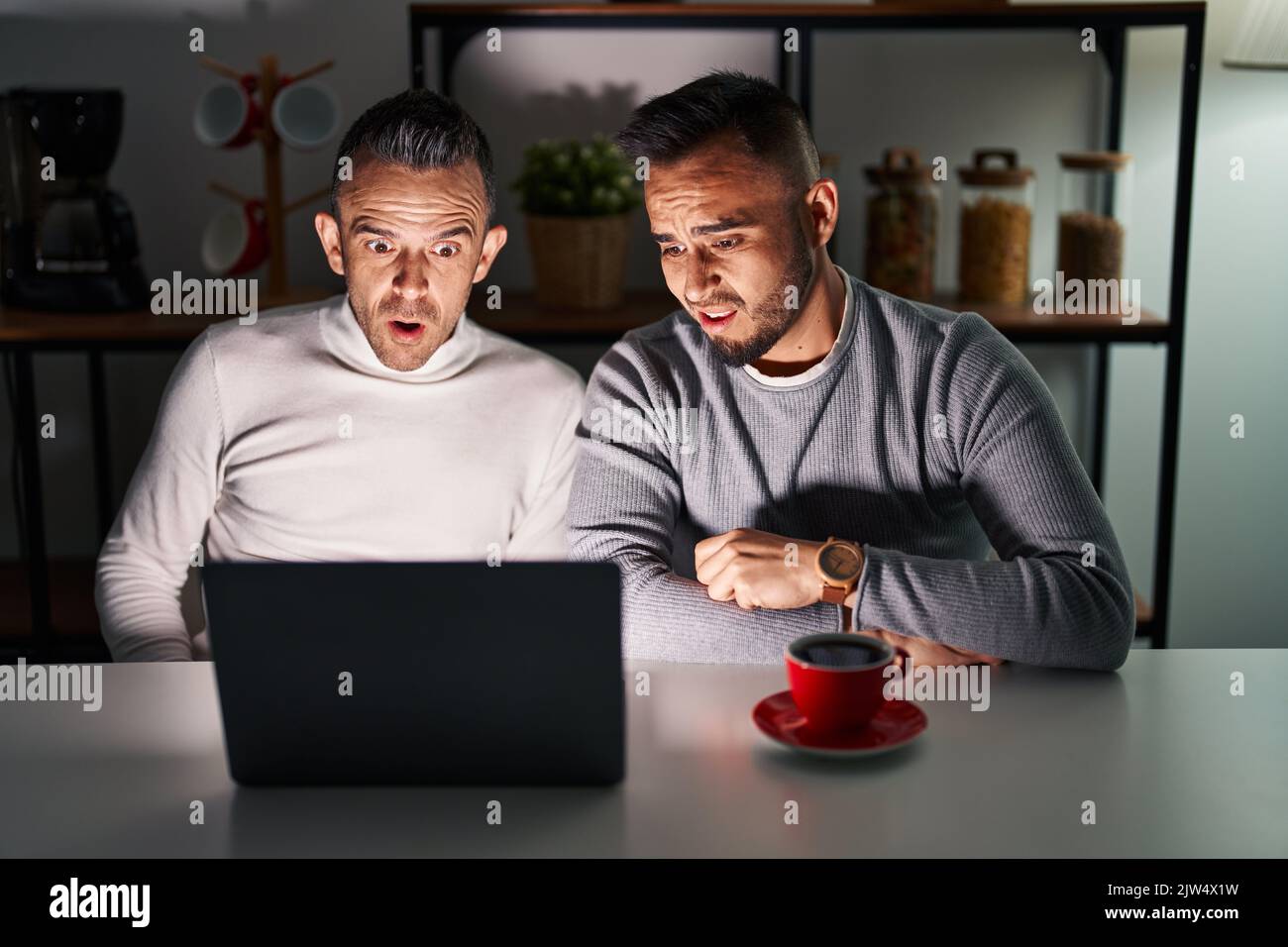 Homosexual couple using computer laptop in shock face, looking ...