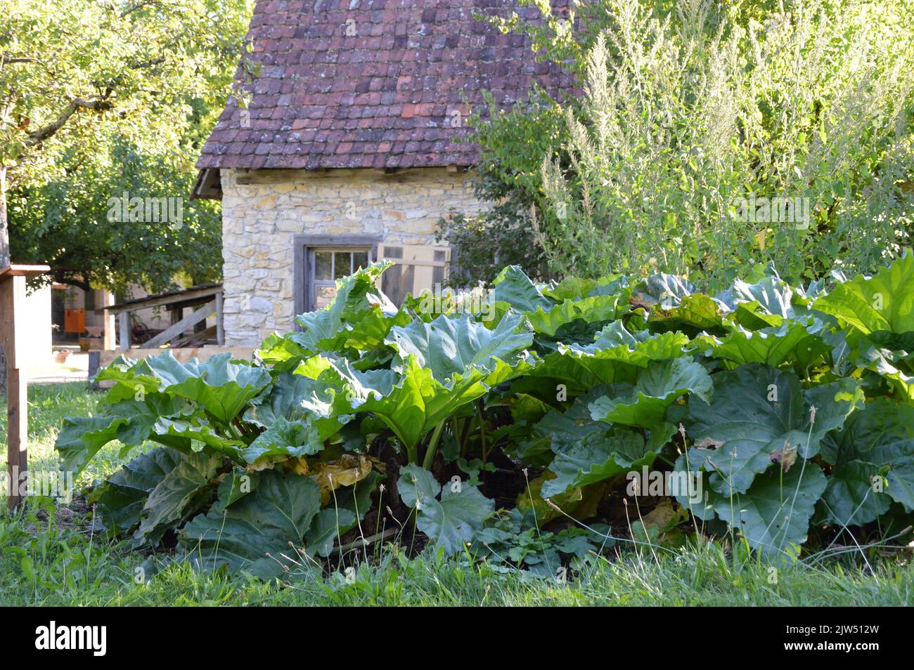 Baraber hi-res stock photography and images - Alamy