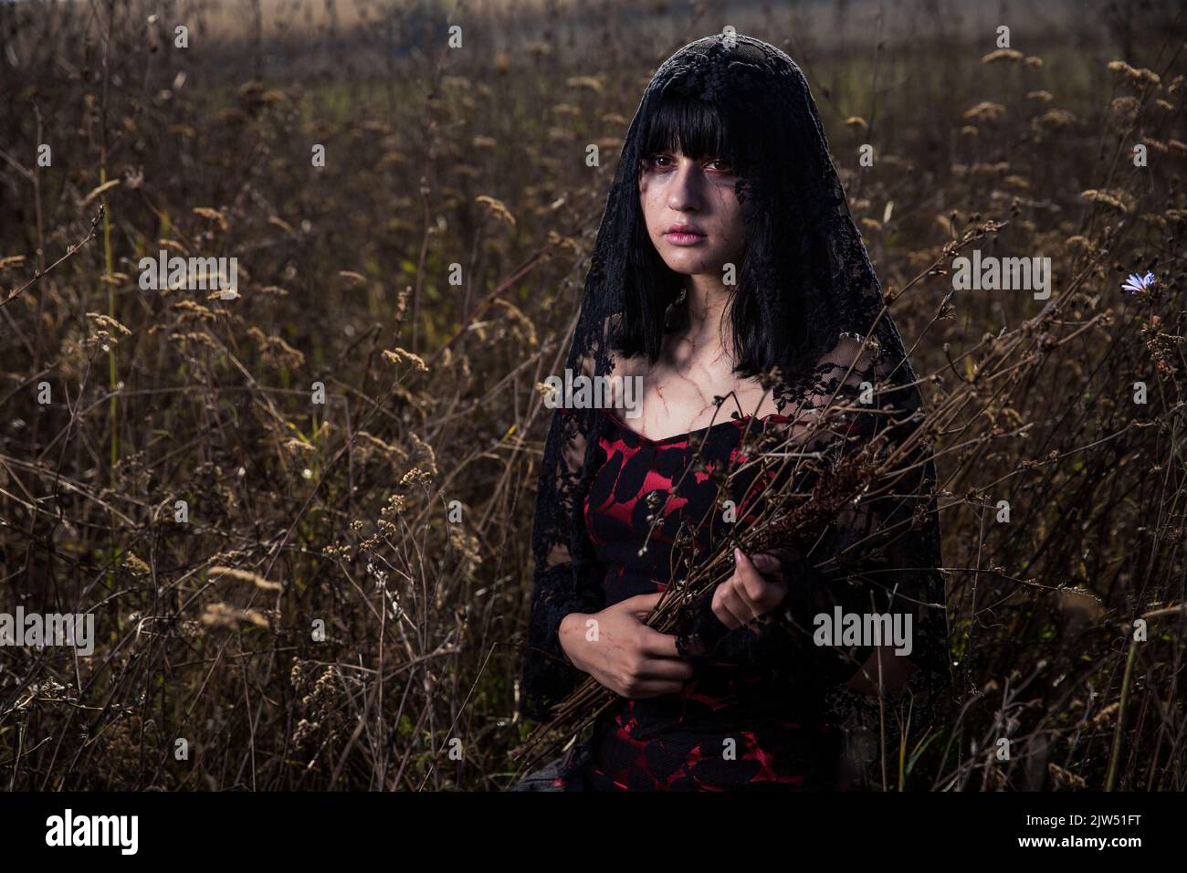 a Caucasian pretty female in a gothic style black and red dress Stock ...
