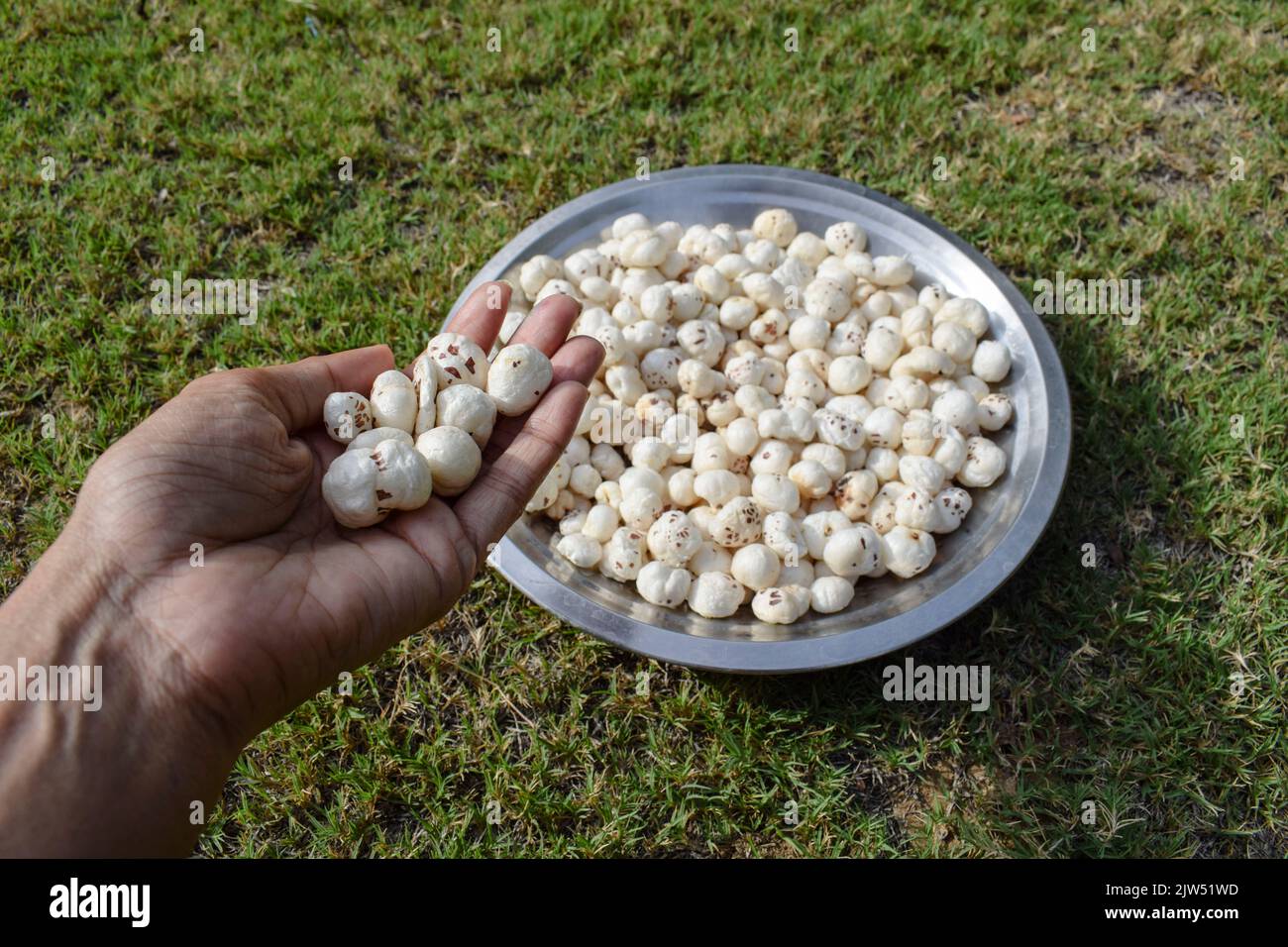 Makhana hi-res stock photography and images - Alamy
