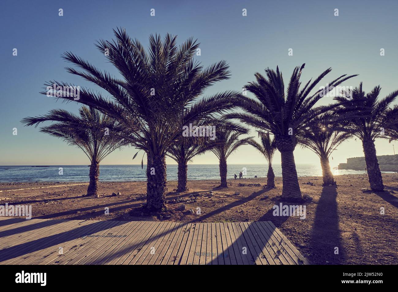 Beach in Tabarca island. Palm trees, light sky and blue Mediterranean ...