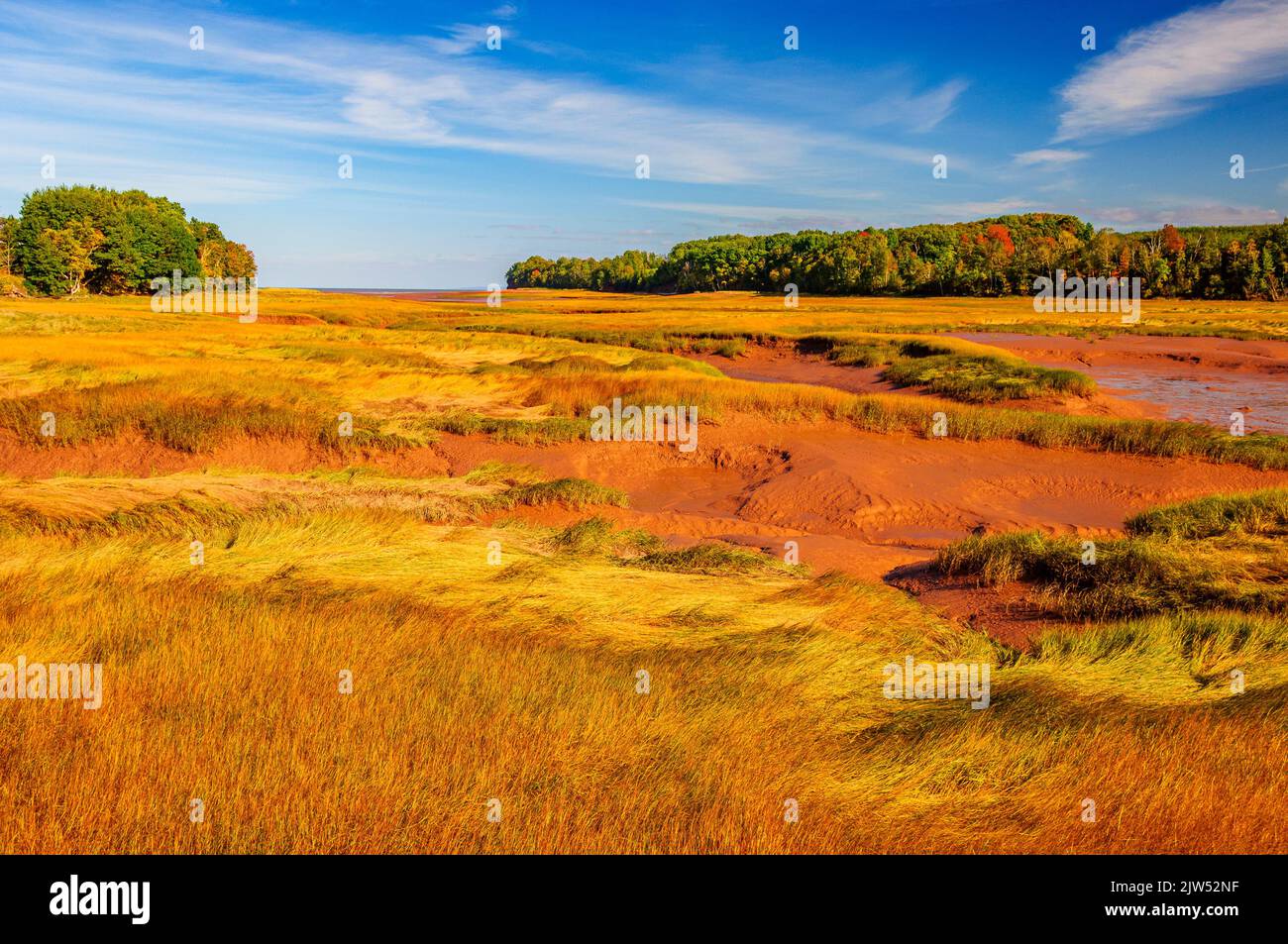 Tidal marsh and mud flats at low tide neqar Delhaven on the Bay of ...