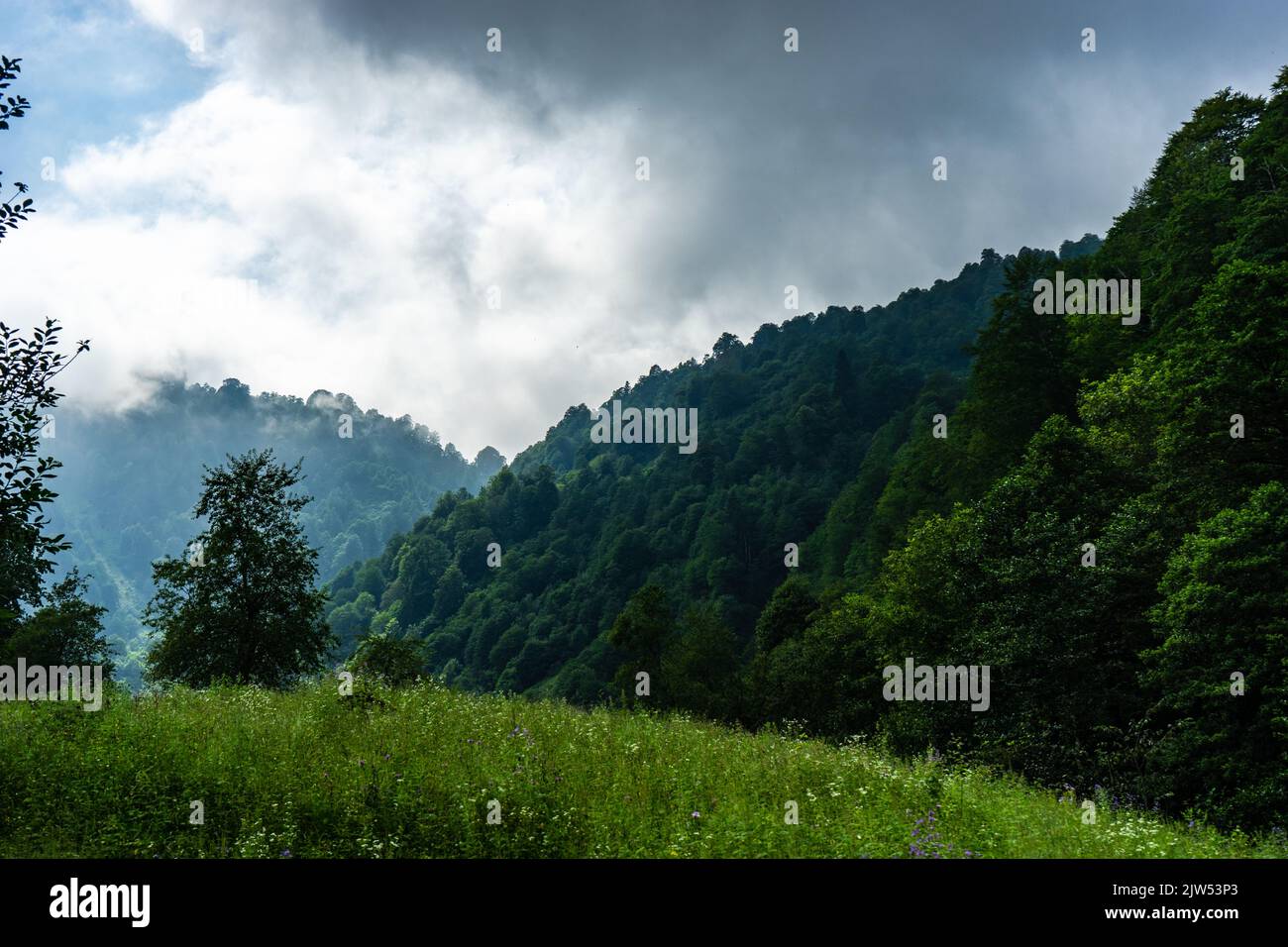 Mountain landscape in famous recreation zone of Guria region in western ...