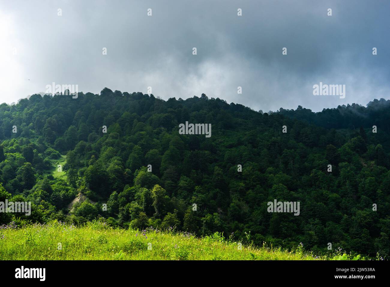 Mountain landscape in famous recreation zone of Guria region in western ...