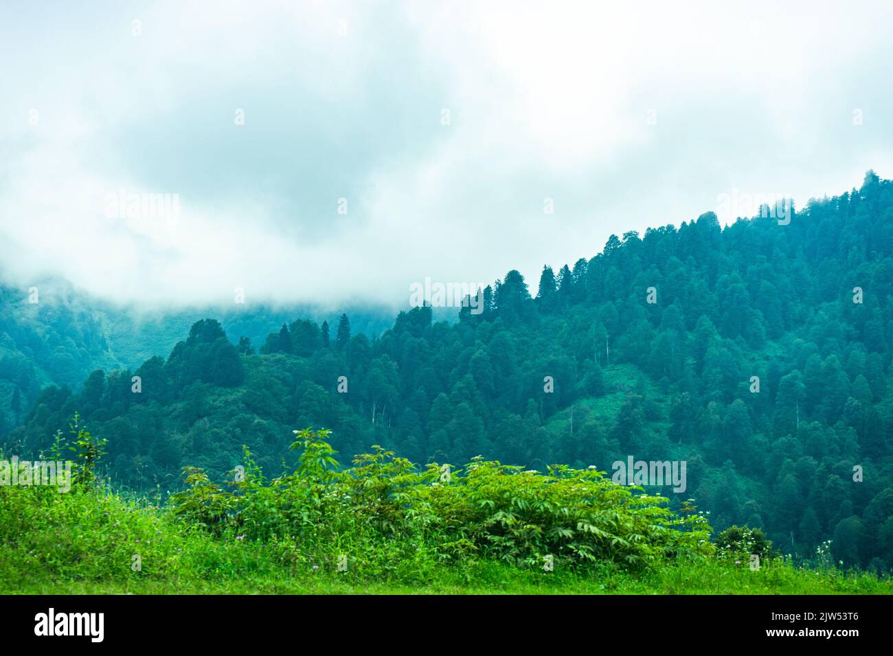 Mountain landscape in famous recreation zone of Guria region in western ...