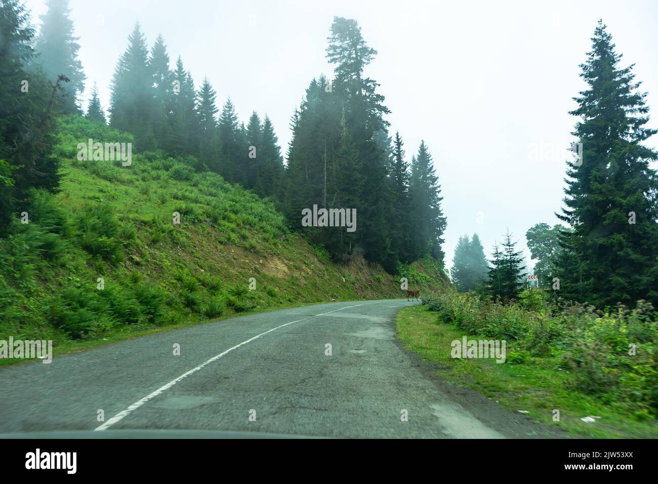 Mountain landscape in famous recreation zone of Guria region in western ...