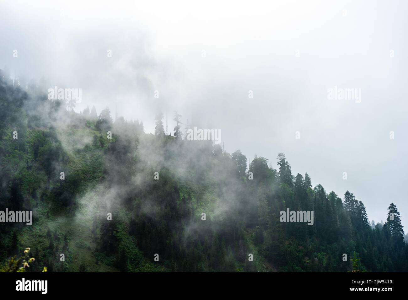 Mountain landscape in famous recreation zone of Guria region in western ...