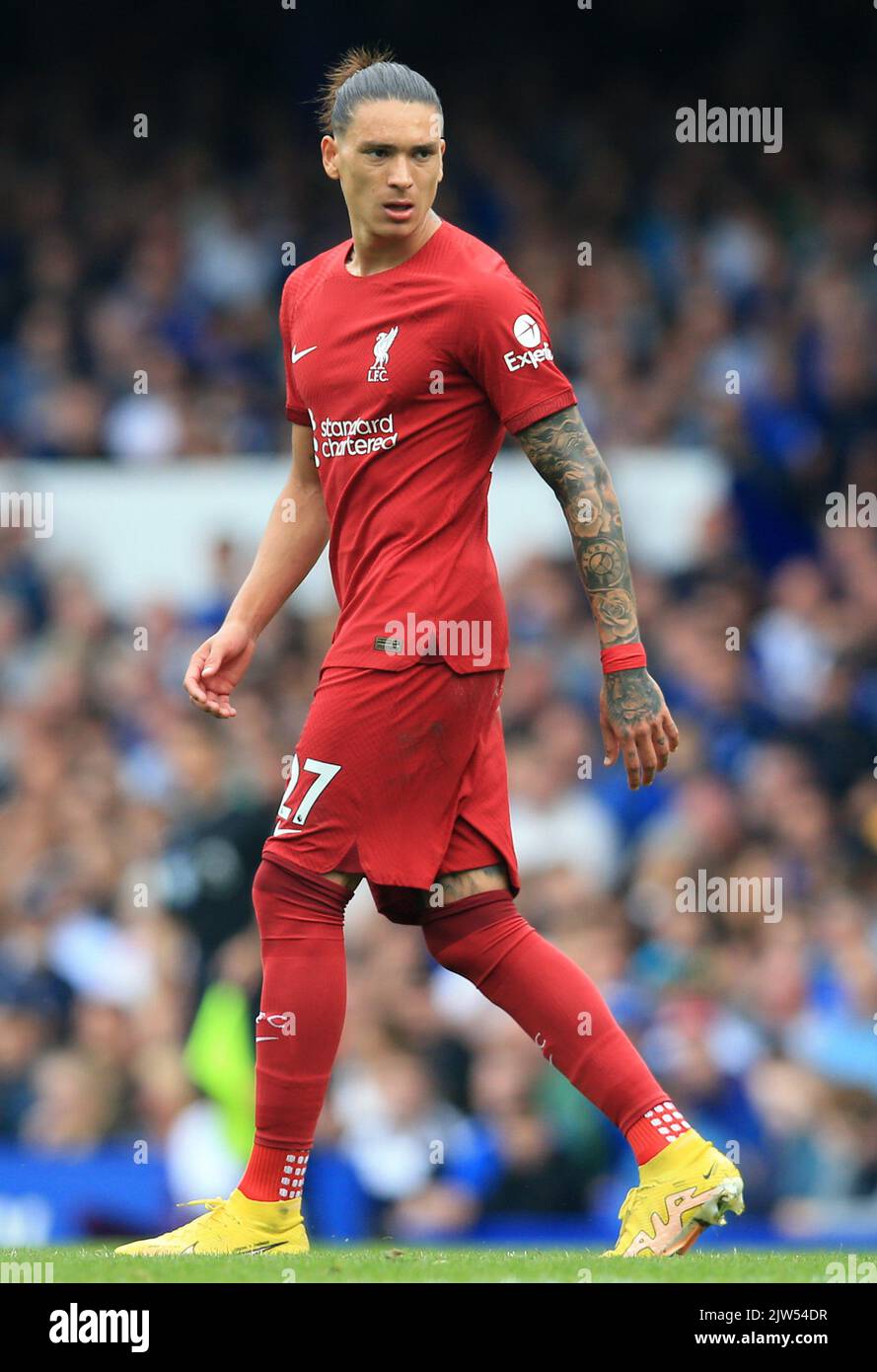 Darwin nunez liverpool 2022 hi-res stock photography and images - Alamy