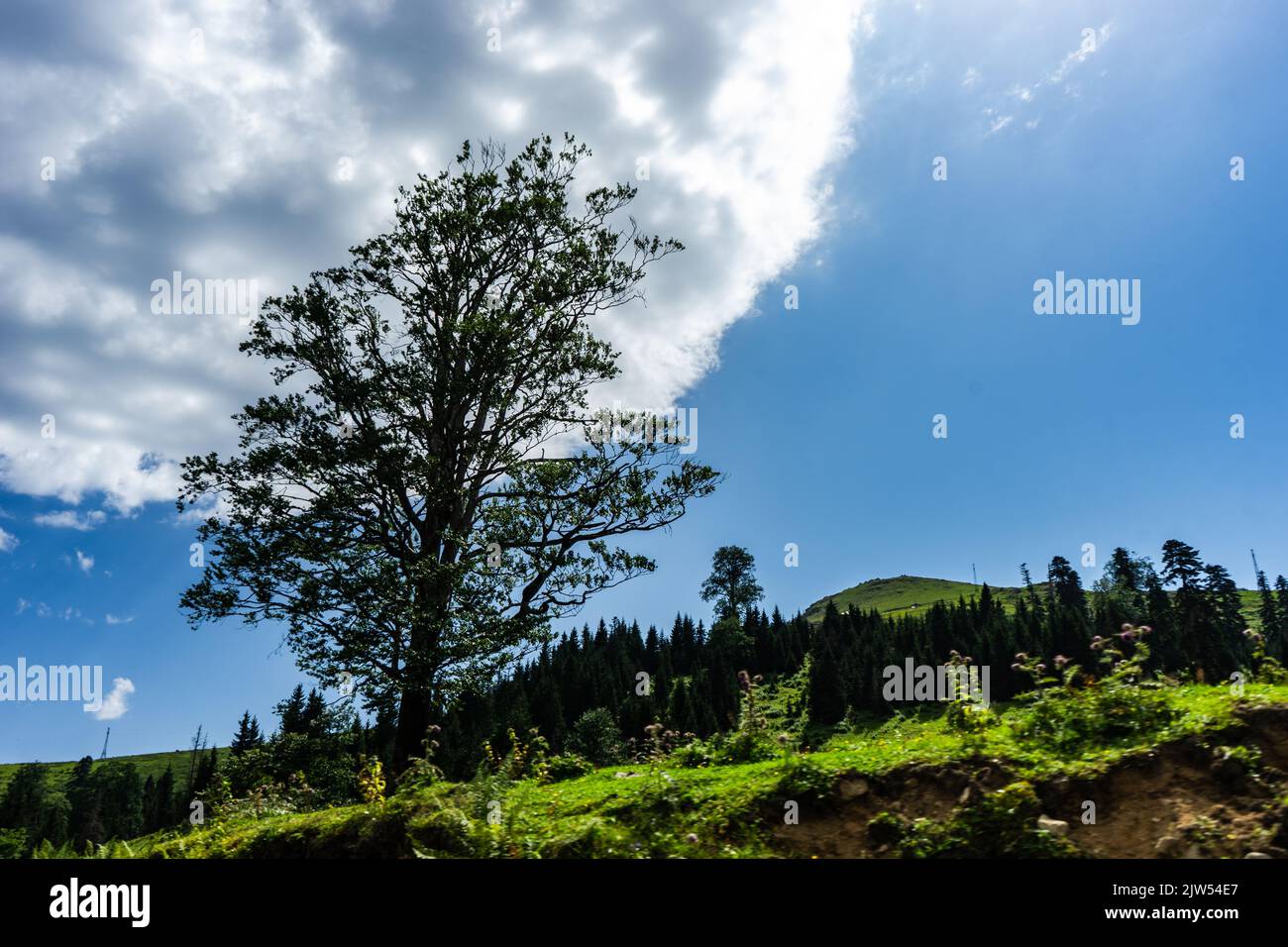 Mountain landscape in famous recreation zone of Guria region in western ...