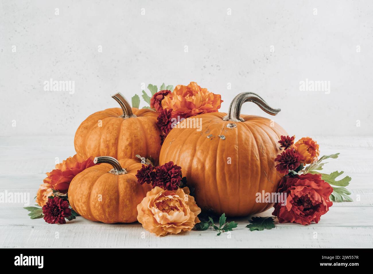 Autumn festive composition flowers hi-res stock photography and images ...
