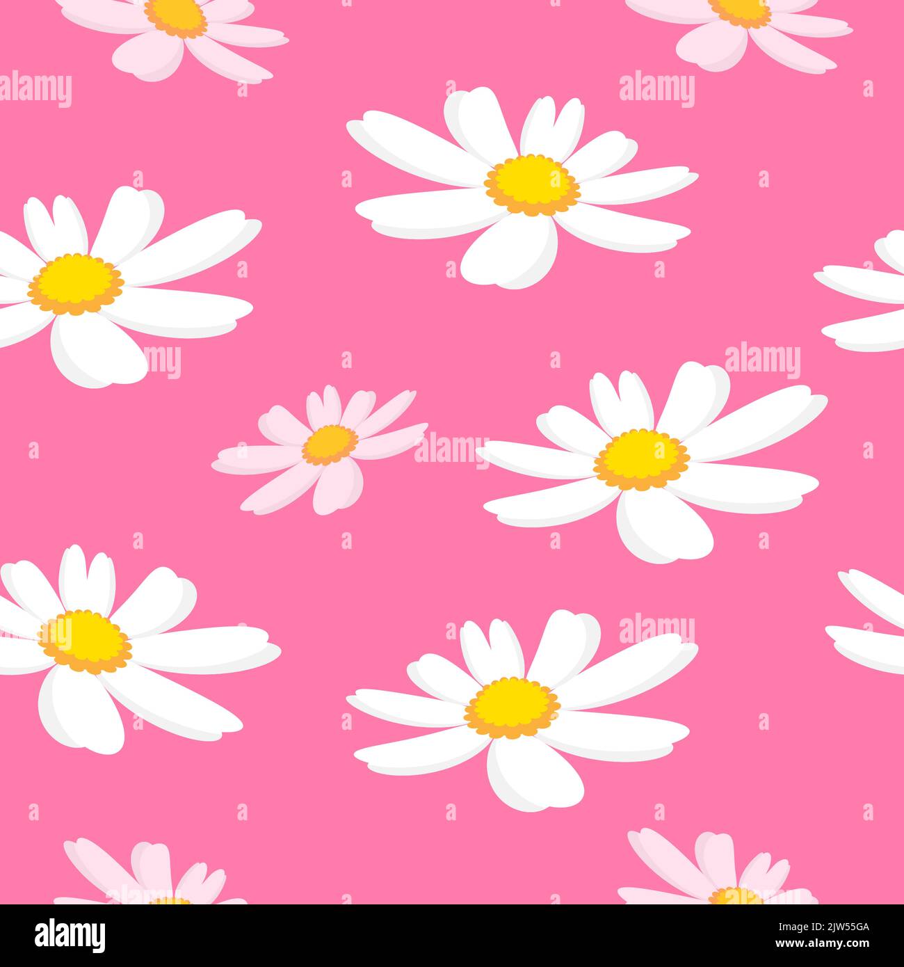 Seamless pattern of daisy flower on pink background vector illustration ...
