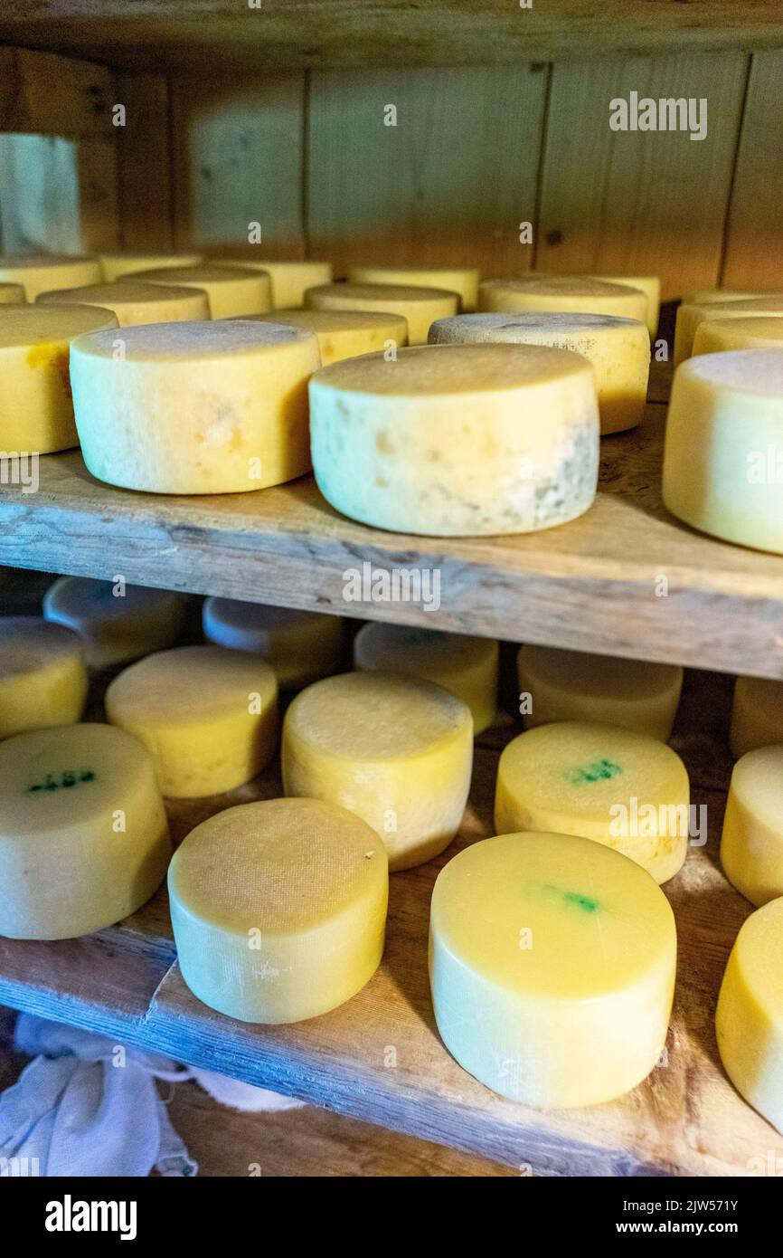 Block of cow cheese in the mountains Stock Photo - Alamy