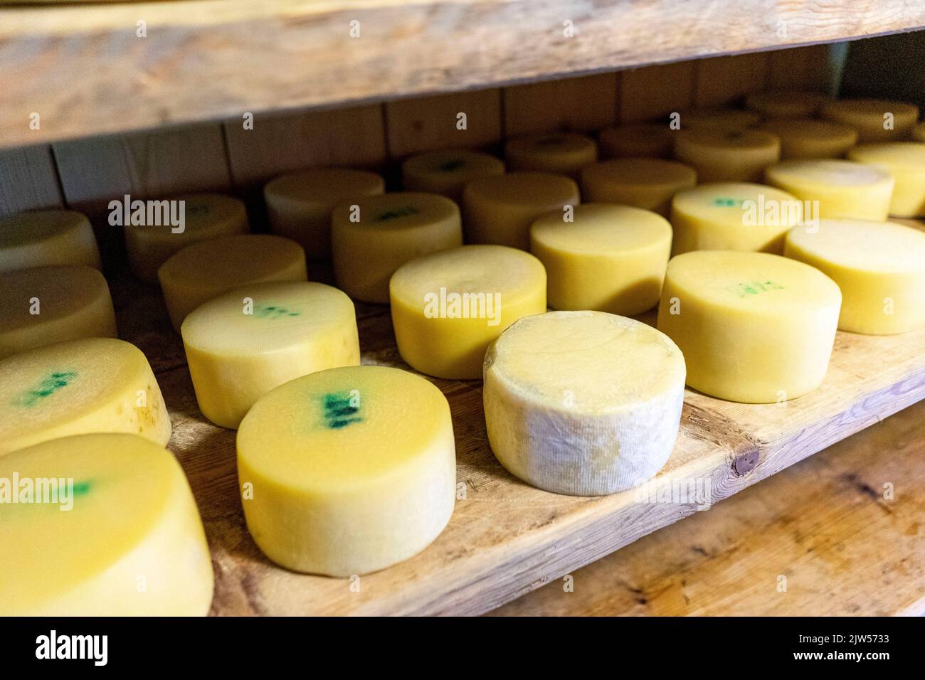 Block of cheese hi-res stock photography and images - Alamy