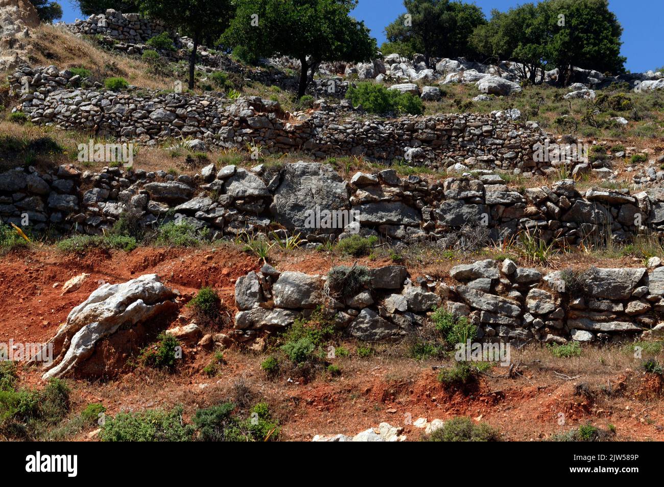 Greek terracing hi-res stock photography and images - Alamy