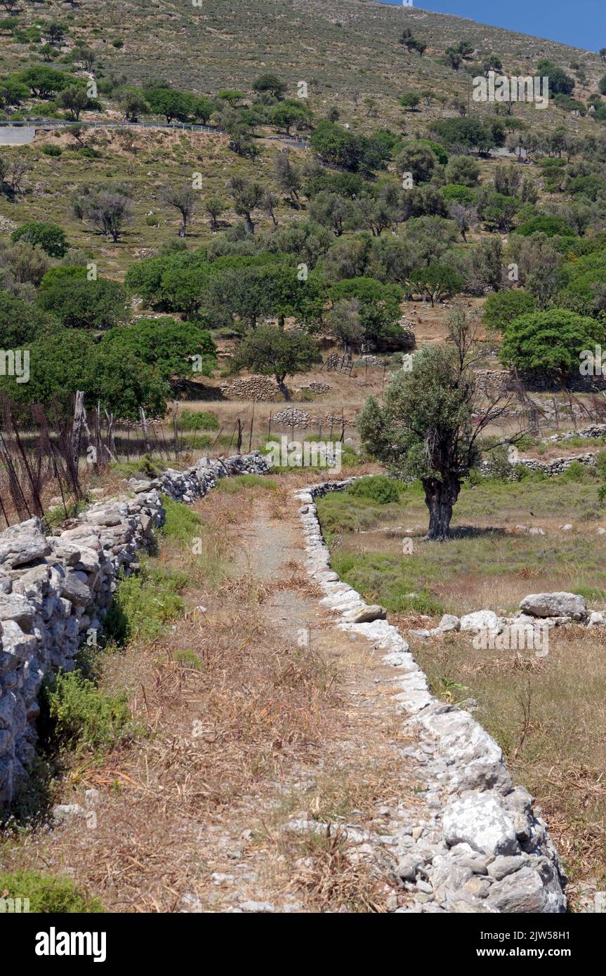 Part of path to Micro Chorio abandoned village. Tilos island ...