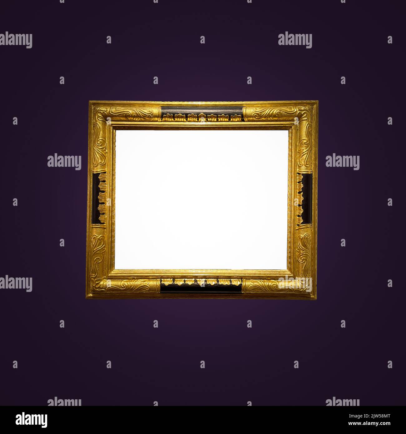 Antique art fair gallery frame on royal purple wall at auction house or ...