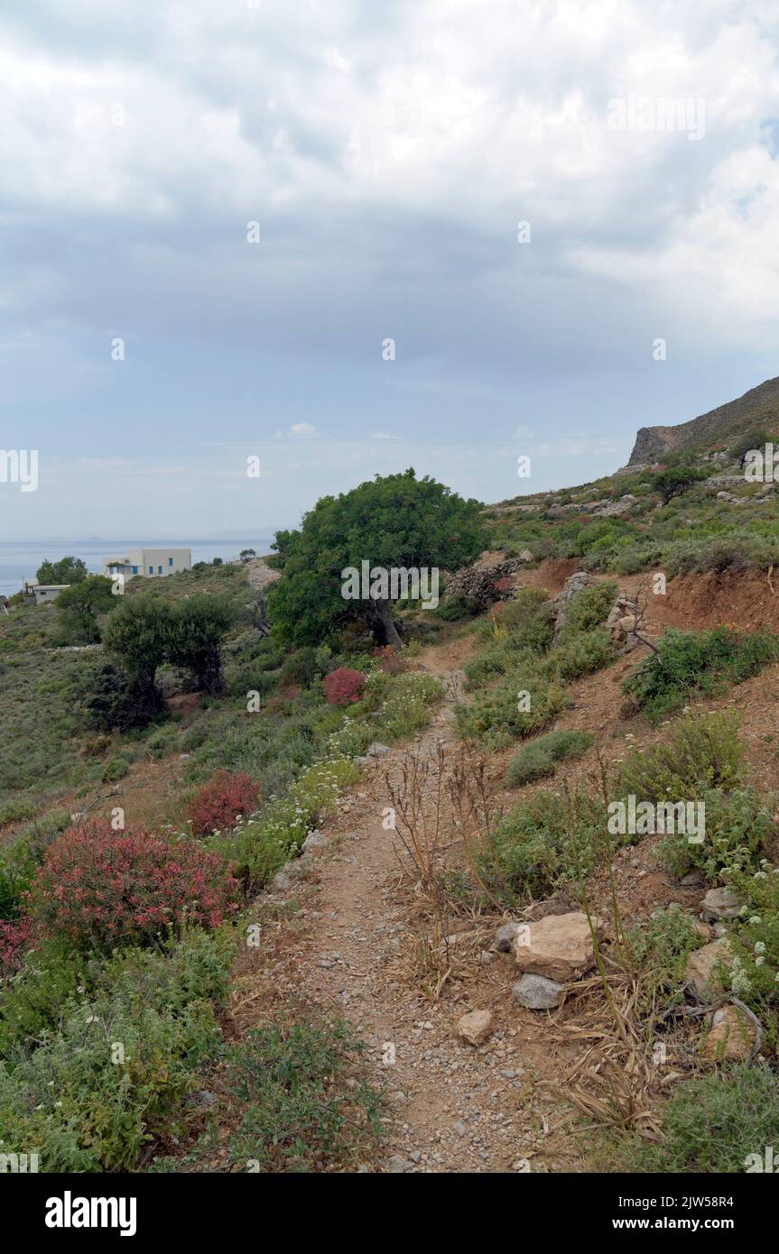 On the path from Megalo Chorio to Agios Antonios, Scenic route via ...