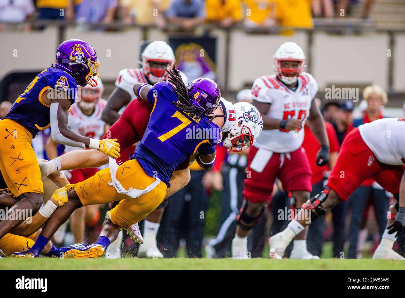 2022 0144 jpg hi-res stock photography and images - Alamy