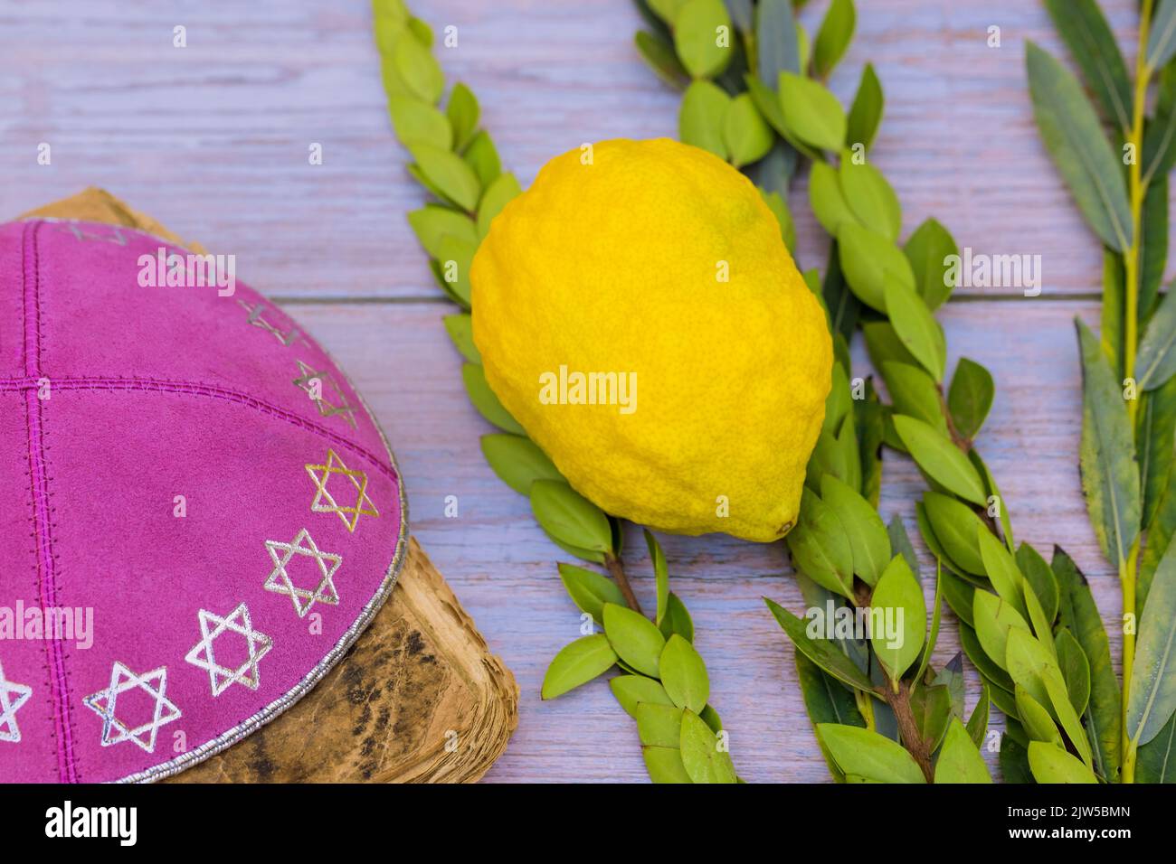 The traditional Jewish holiday decorations for Sukkot with the species ...