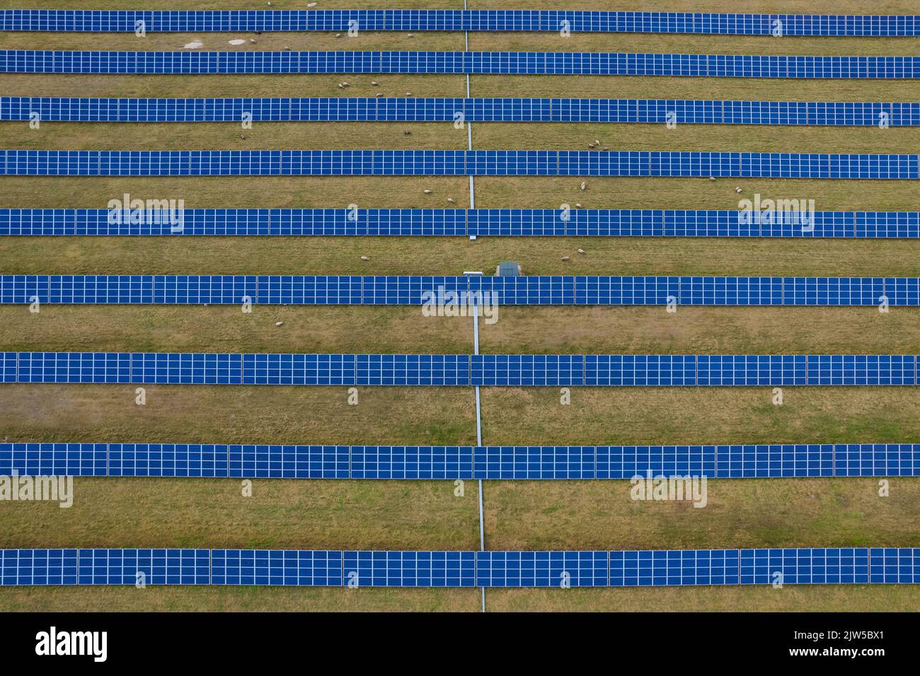 Aerial view of solar panels on a green grass field. Alternative energy ...