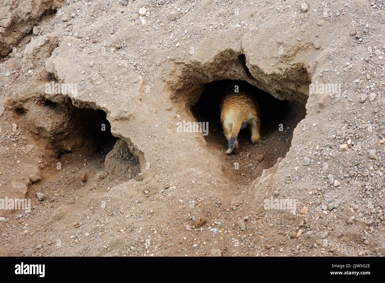 Digging hole desert hi-res stock photography and images - Alamy