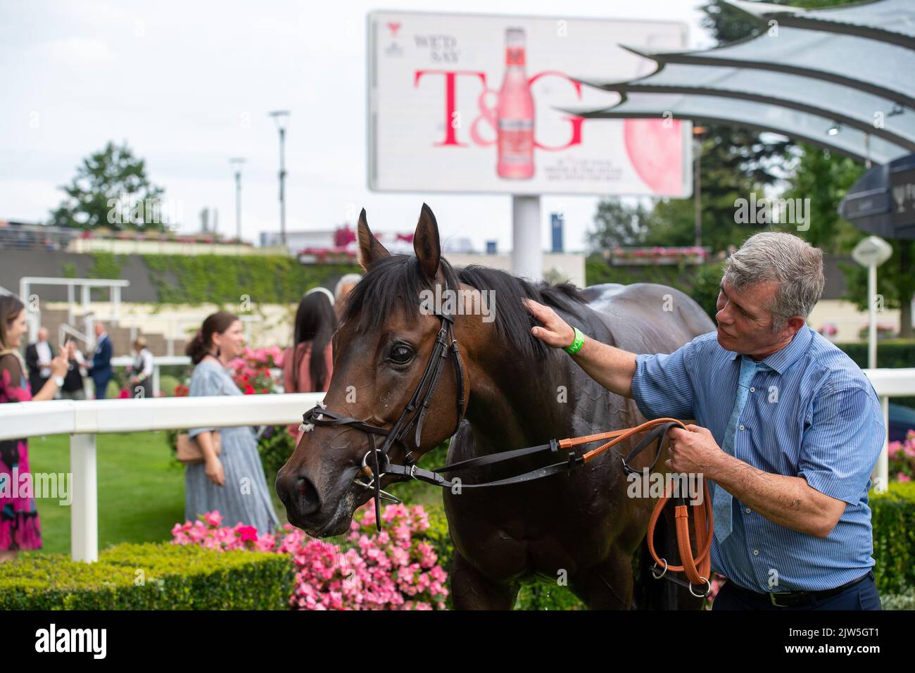 Lethal nymph racecourse hi-res stock photography and images - Alamy