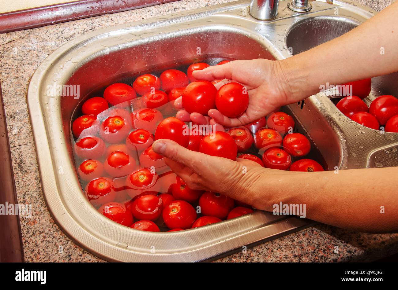 A woman's hands wash tomatoes under running water in the kitchen sink ...