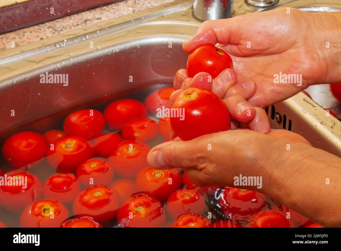 A woman's hands wash tomatoes under running water in the kitchen sink ...