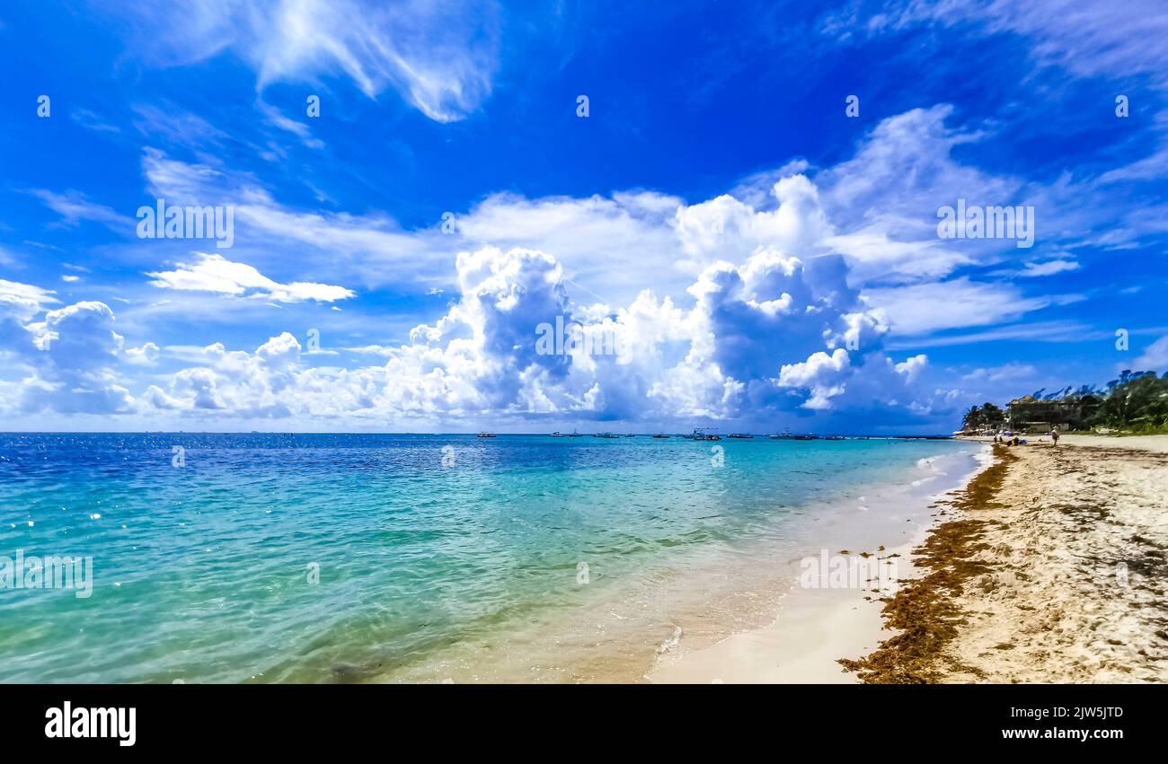 Tropical mexican beach landscape panorama with clear turquoise blue ...