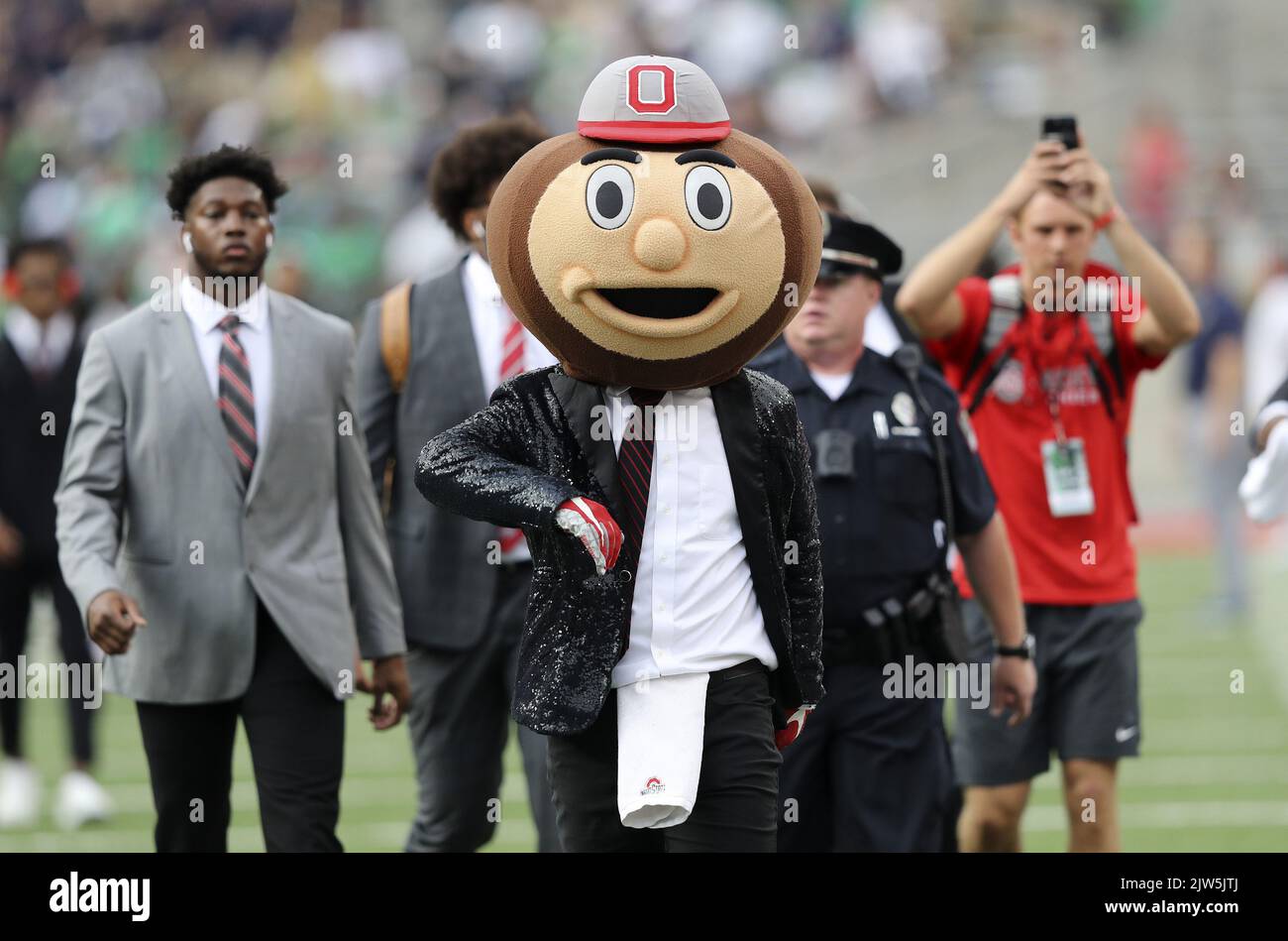 Brutus the buckeye hi-res stock photography and images - Alamy
