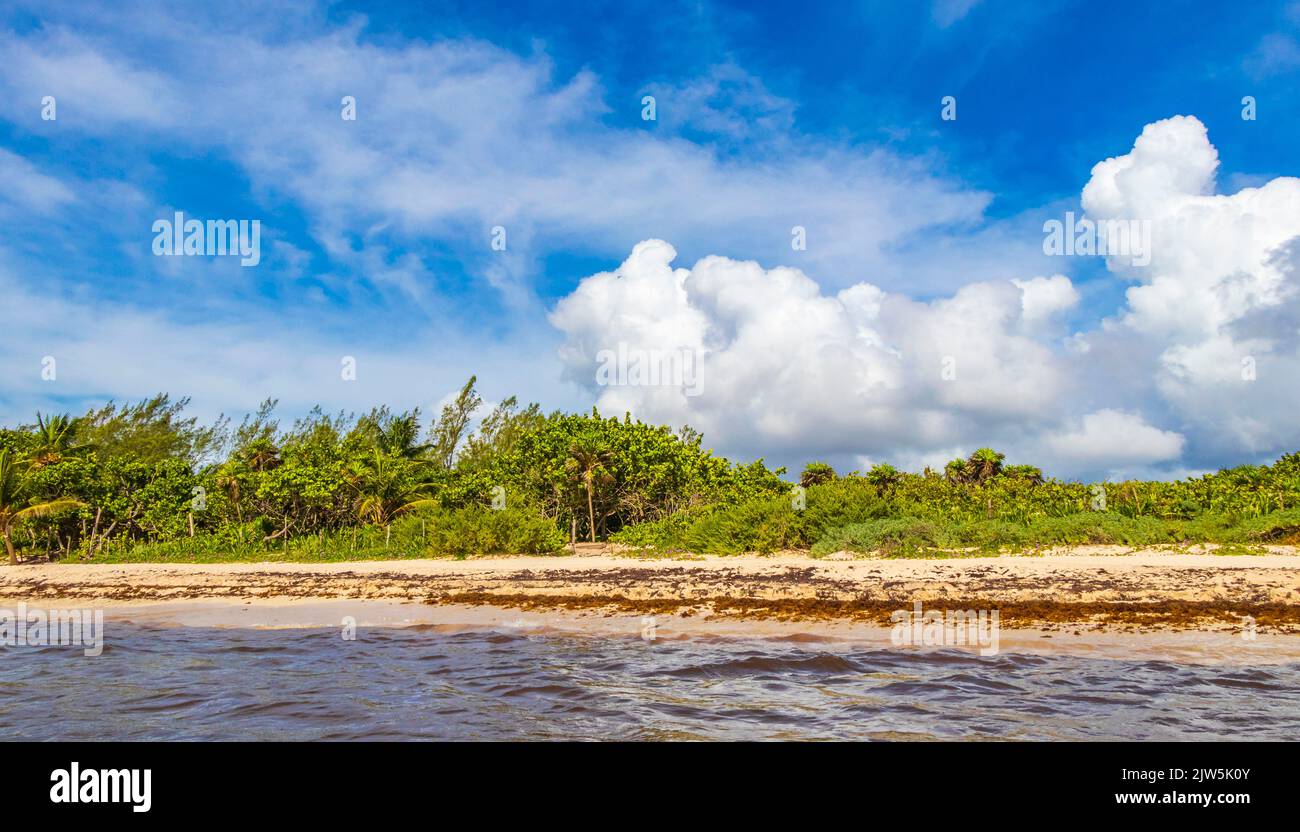 Tropical mexican beach landscape panorama with clear turquoise blue ...