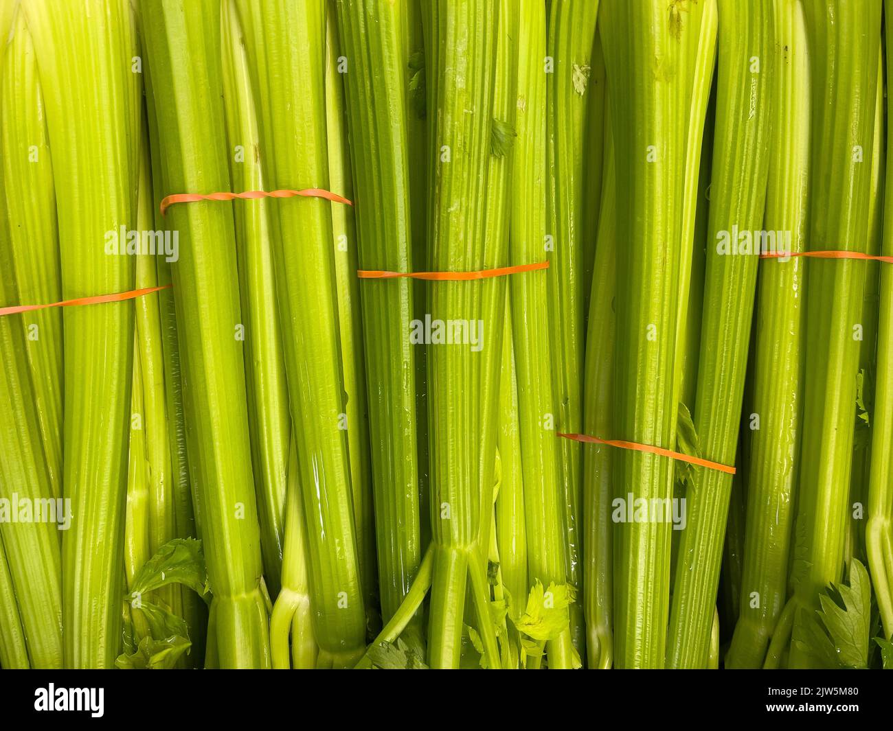 Leeks on display hi-res stock photography and images - Alamy