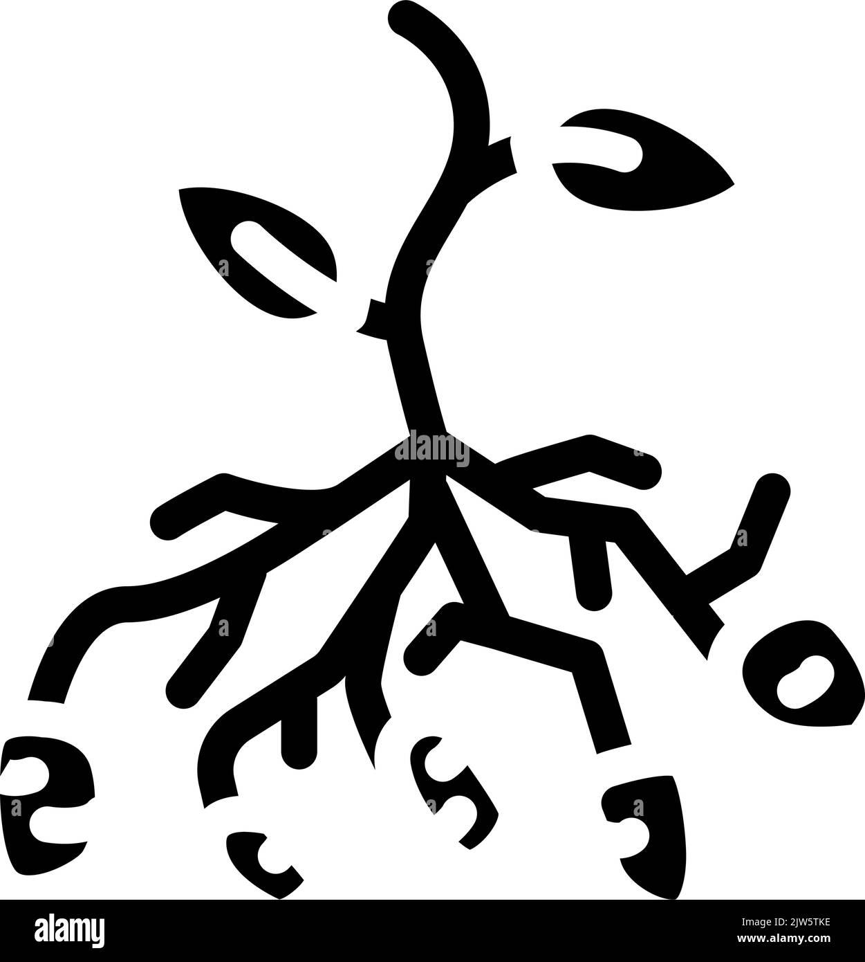 potato bush plant glyph icon vector illustration Stock Vector Image ...