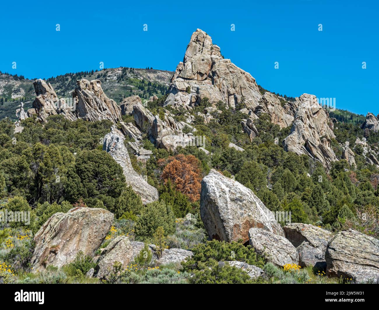 Rock formations rise from the forest at Castle Rocks State Park, Idaho ...
