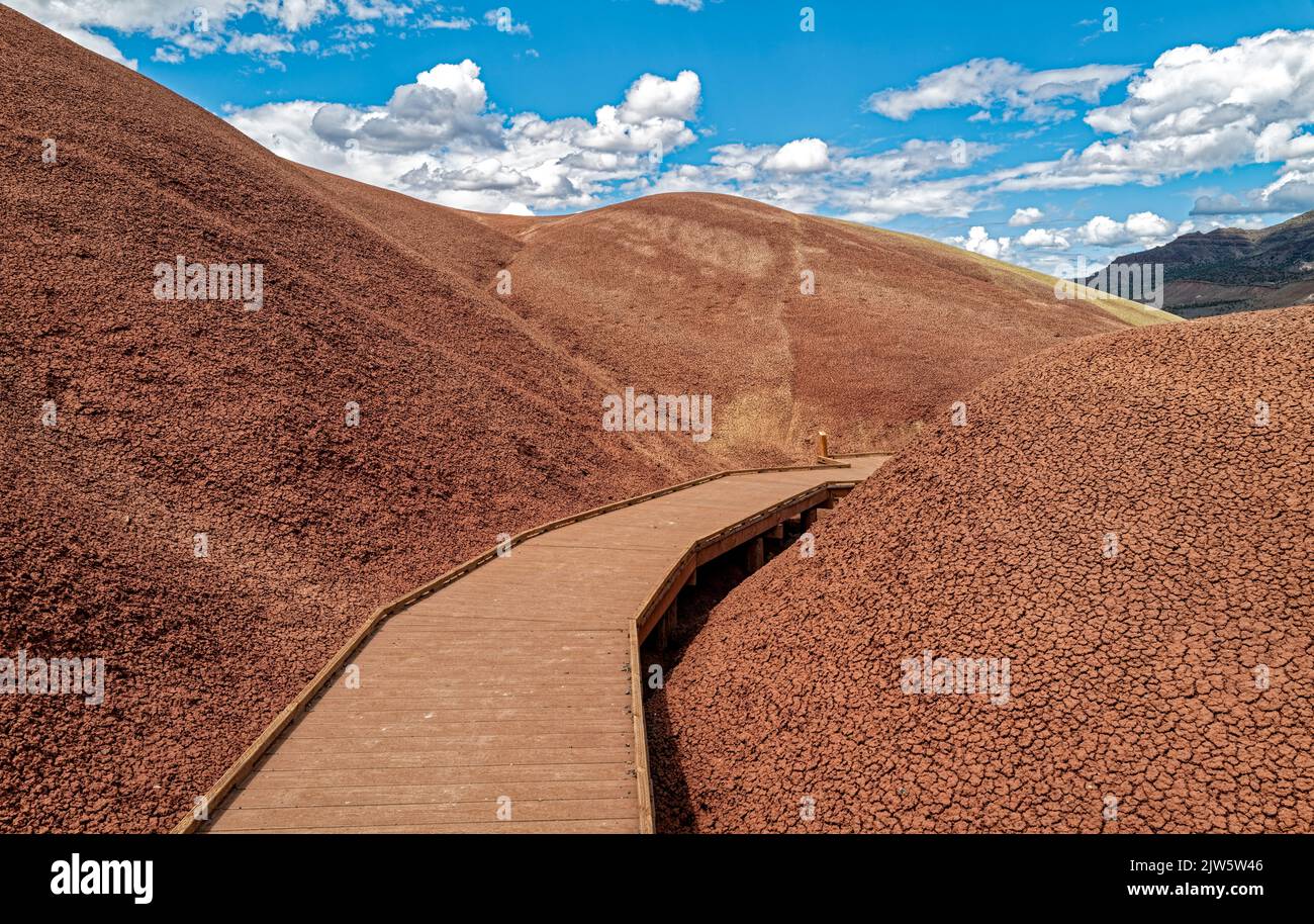 Mound beds hi-res stock photography and images - Alamy