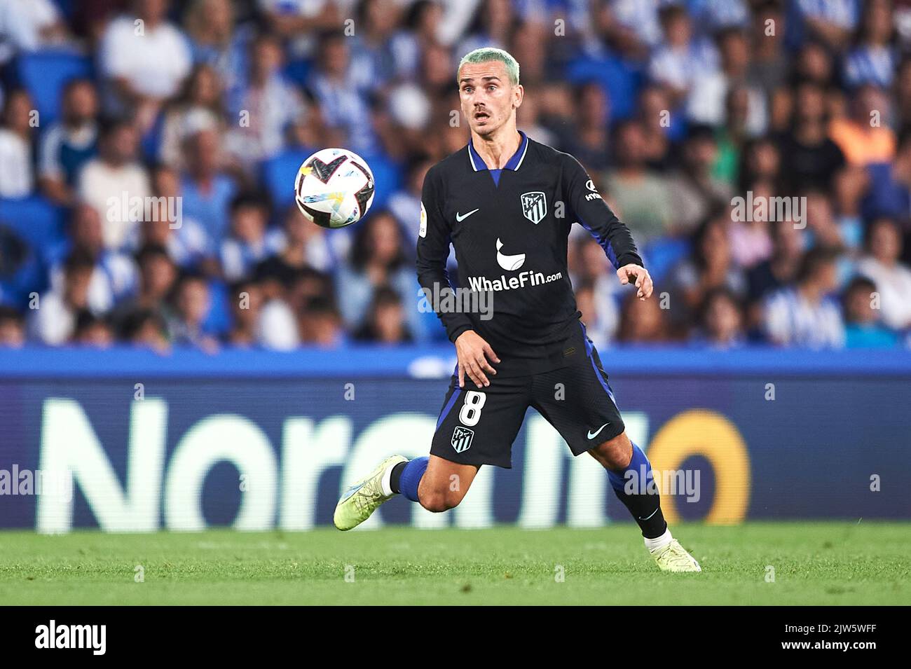 Antoine Griezmann of Atletico de Madrid during the La Liga match ...