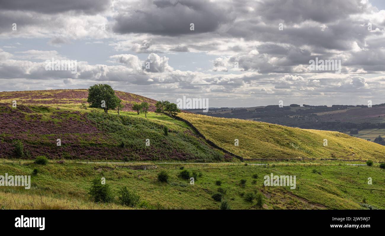 Amazing landscape and nature of Peak district National Park Stock Photo ...