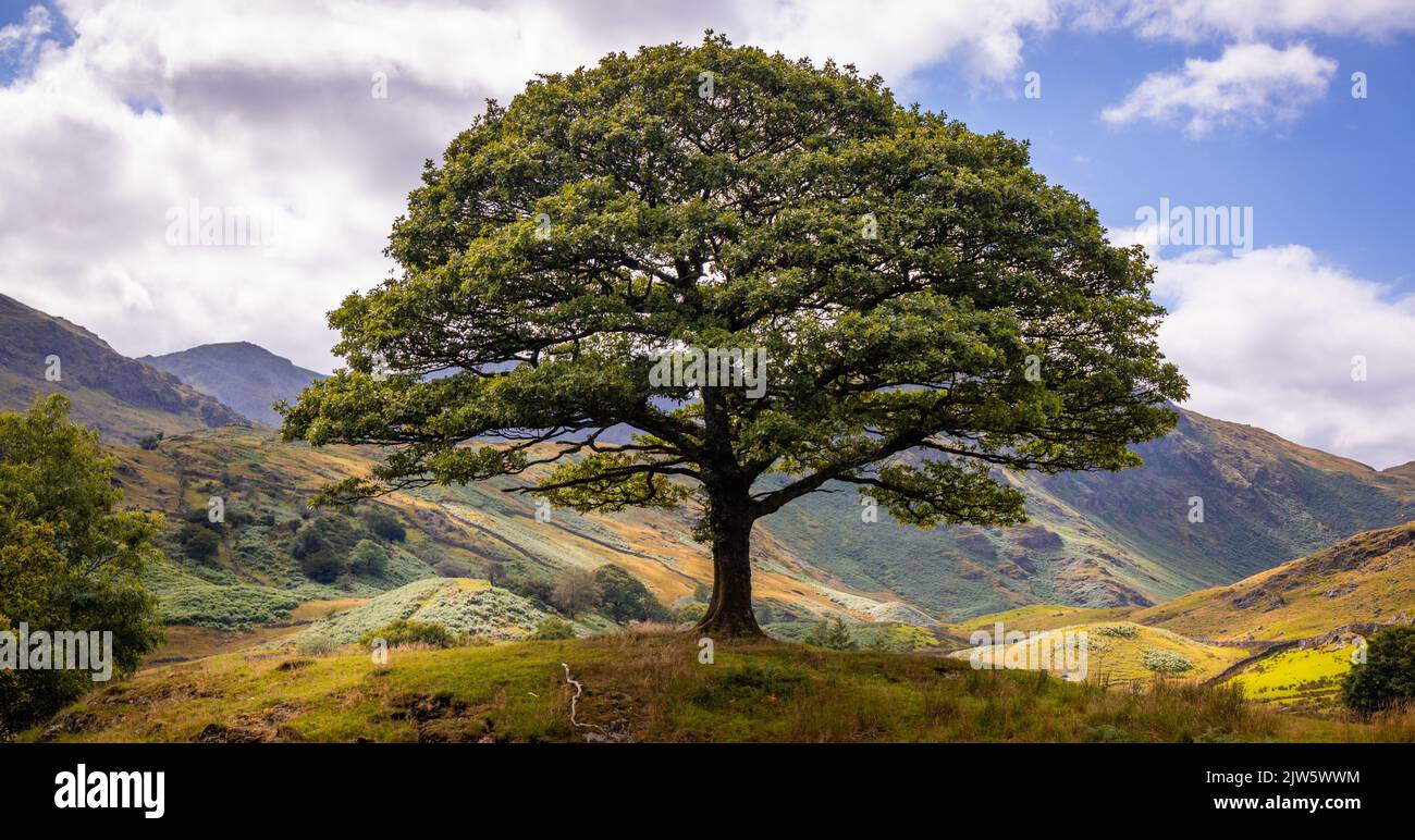 Amazing landscape and nature of Lake District National Park Stock Photo ...