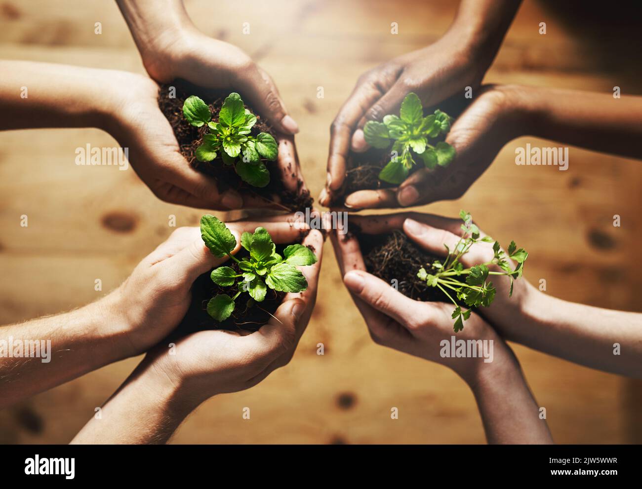 Live green and save the green. a group of people holding plants growing ...