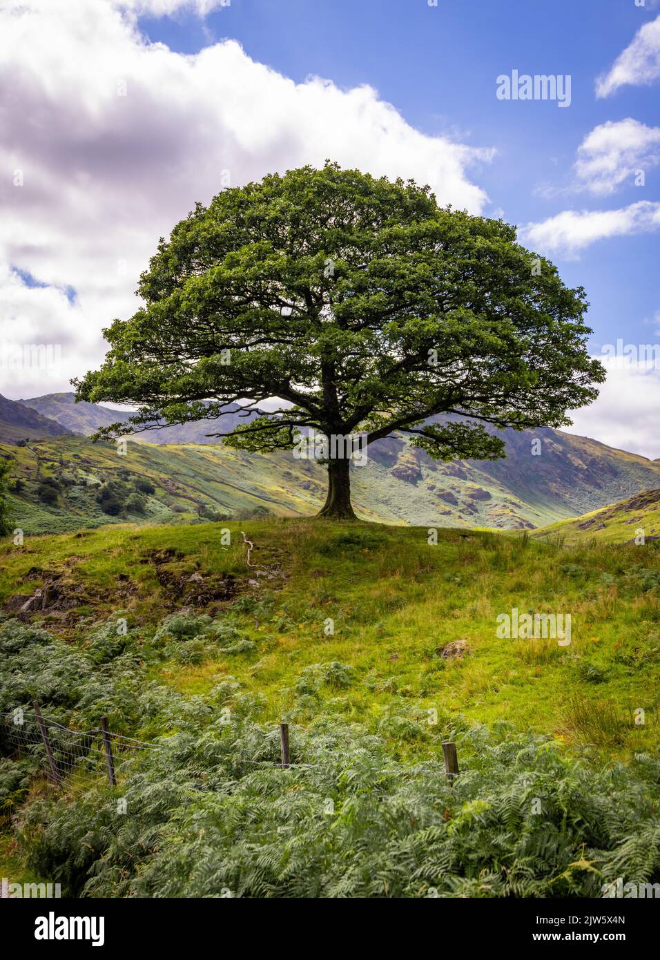 Amazing landscape and nature of Lake District National Park Stock Photo ...