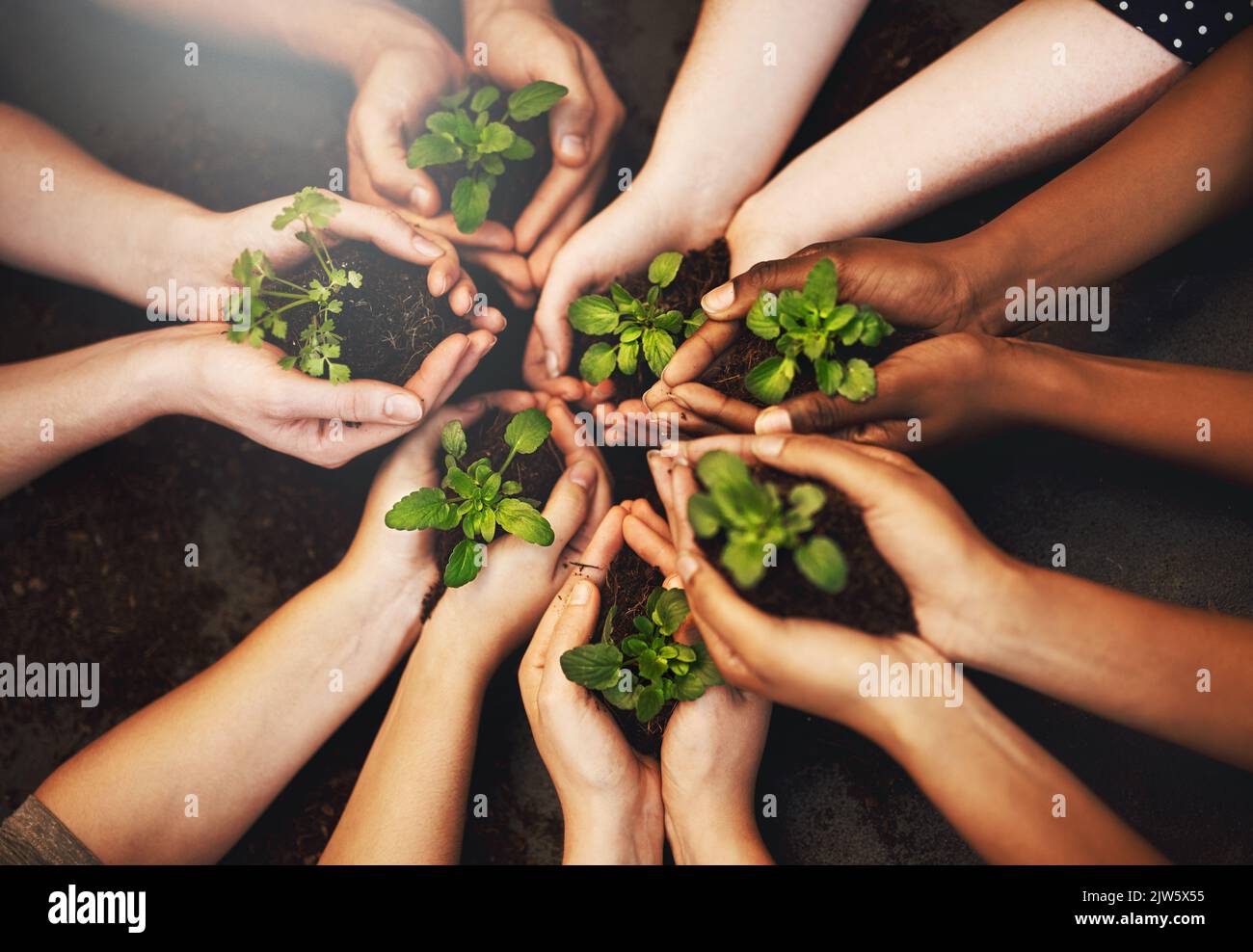 Go green today for a better tomorrow. a group of people holding plants ...