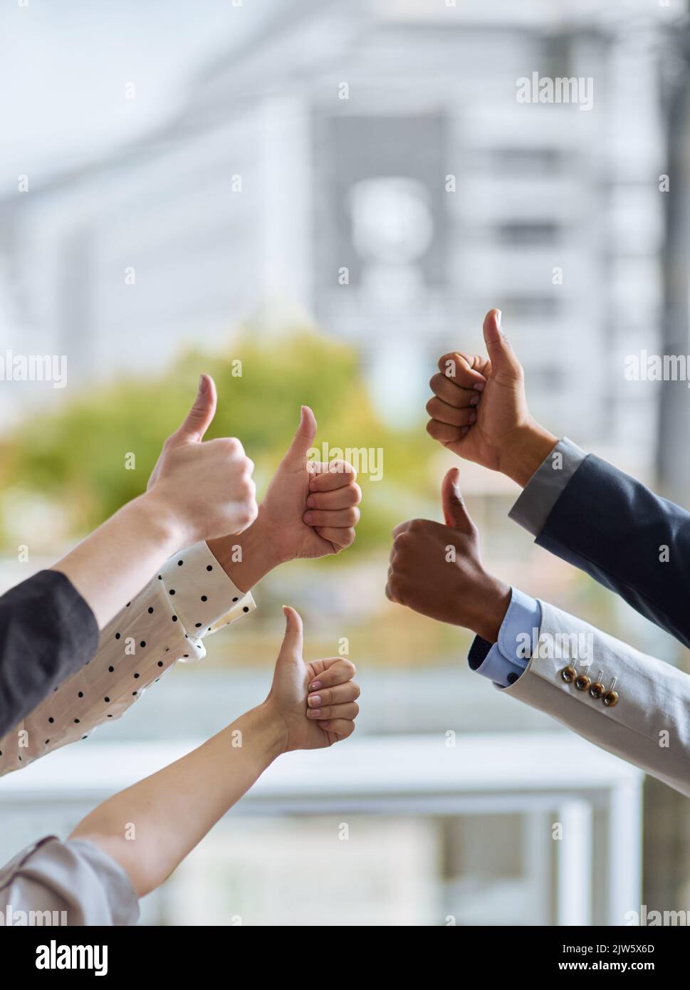 Youve done it. a group of businesspeople showing a thumbs up gesture ...