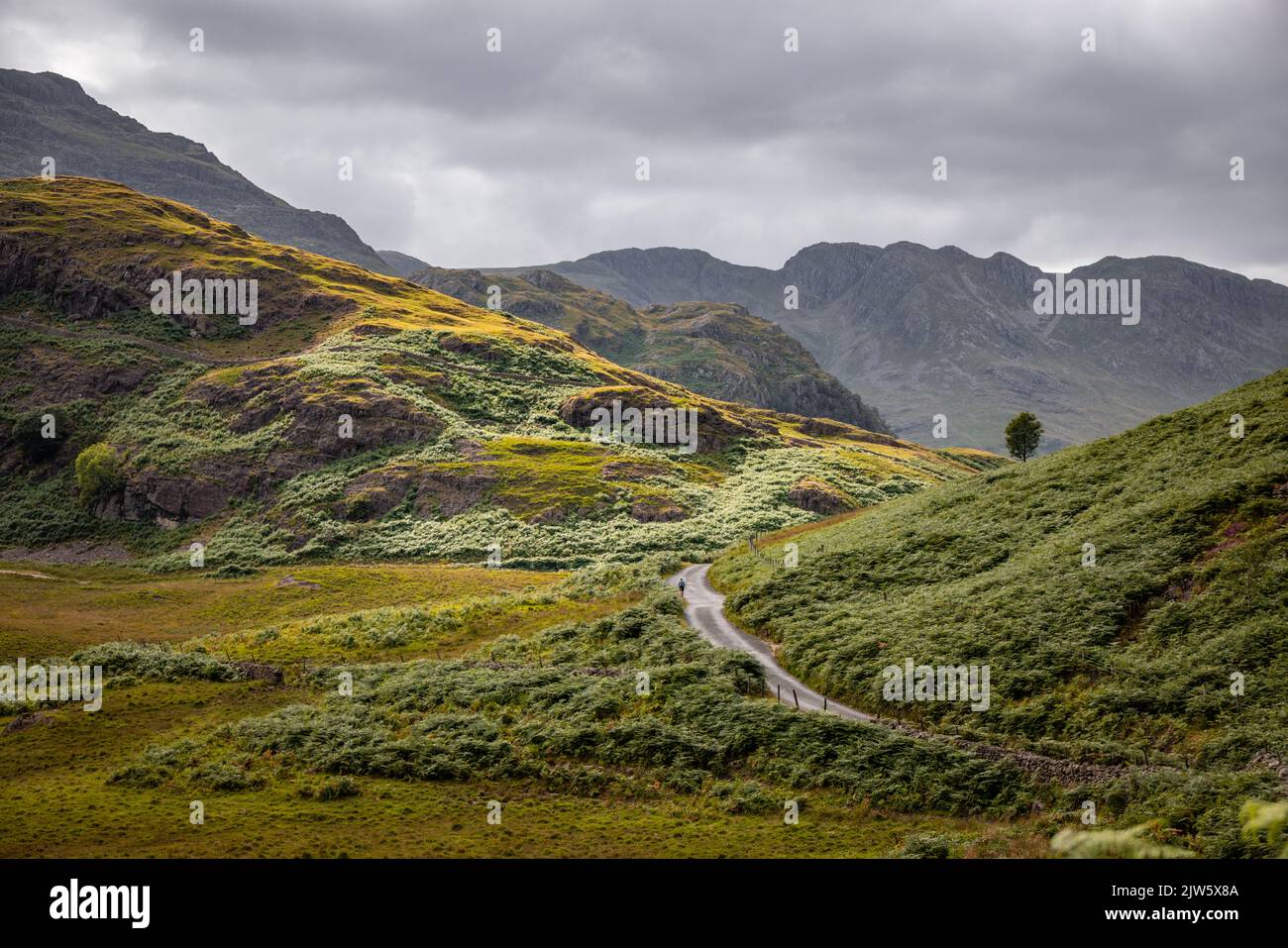 Amazing landscape and nature of Lake District National Park Stock Photo ...