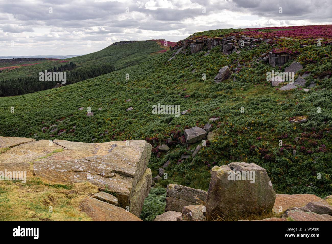 Amazing landscape and nature of Peak district National Park Stock Photo ...