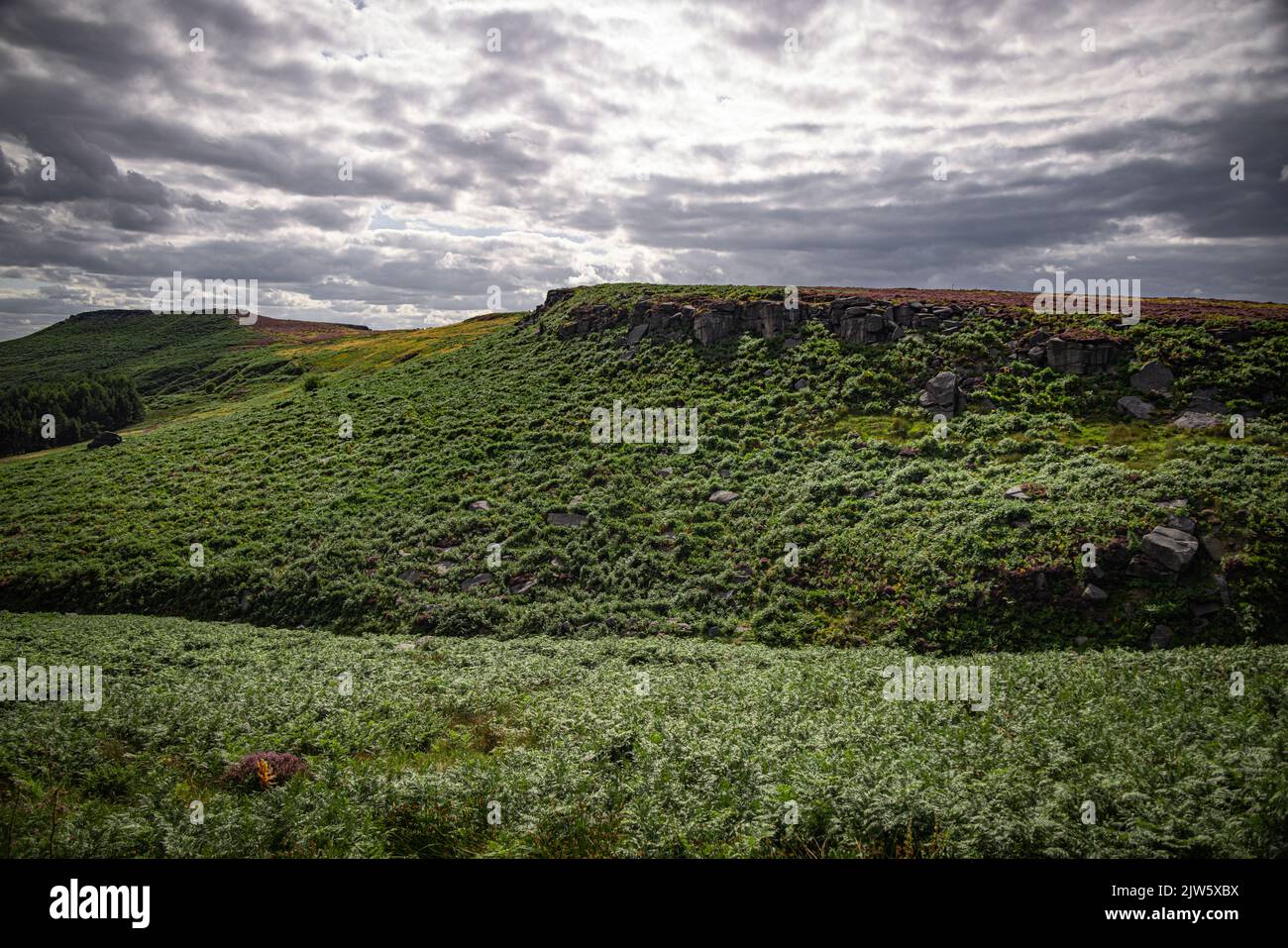 Amazing landscape and nature of Peak district National Park Stock Photo ...